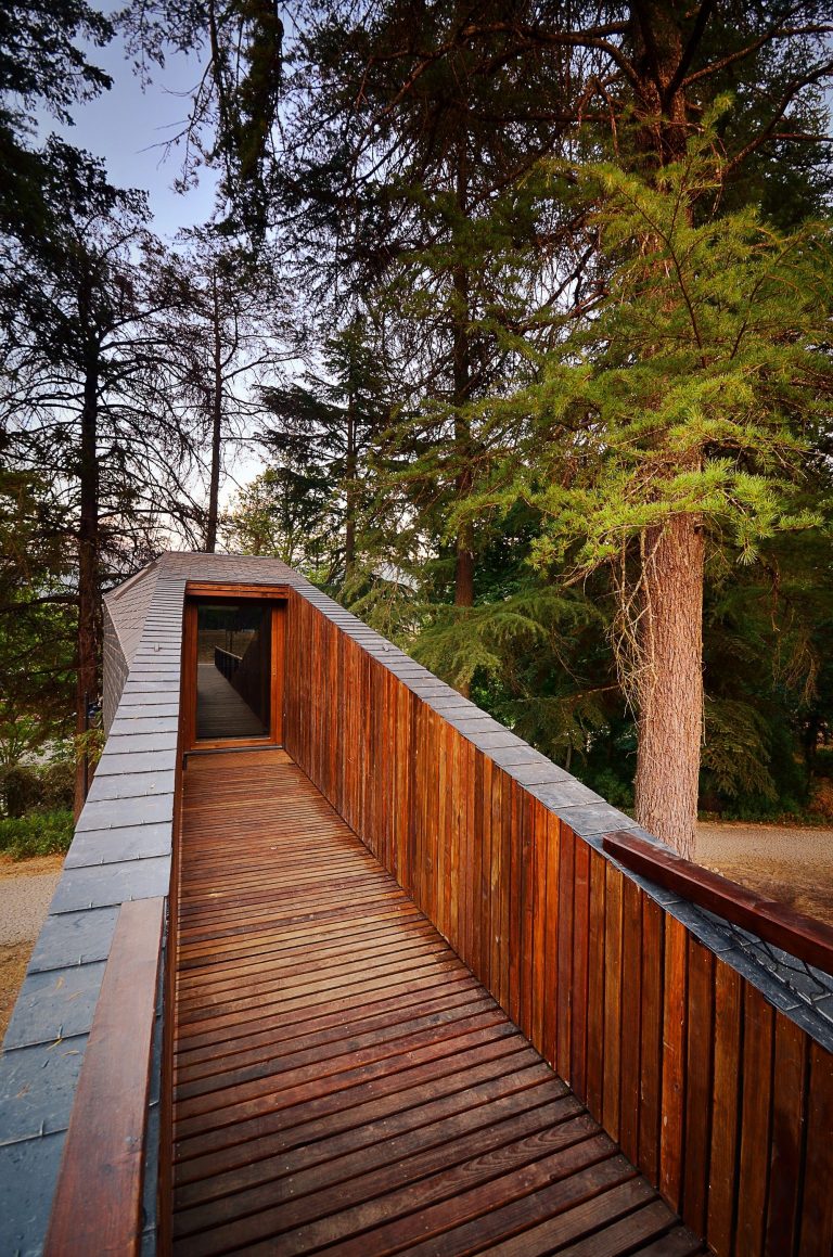 Cool House Designs That Stand Out From the Crowd - Arch2O.com