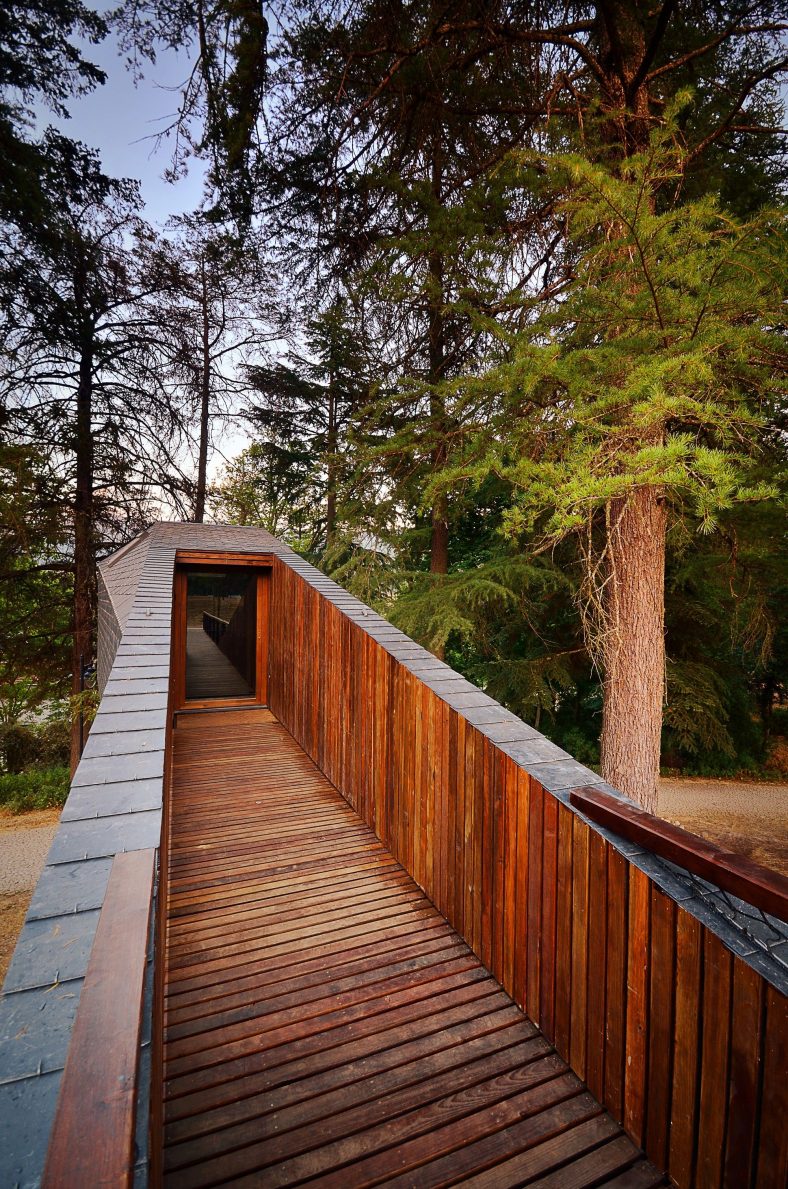 Cool House Designs That Stand Out From the Crowd - Arch2O.com