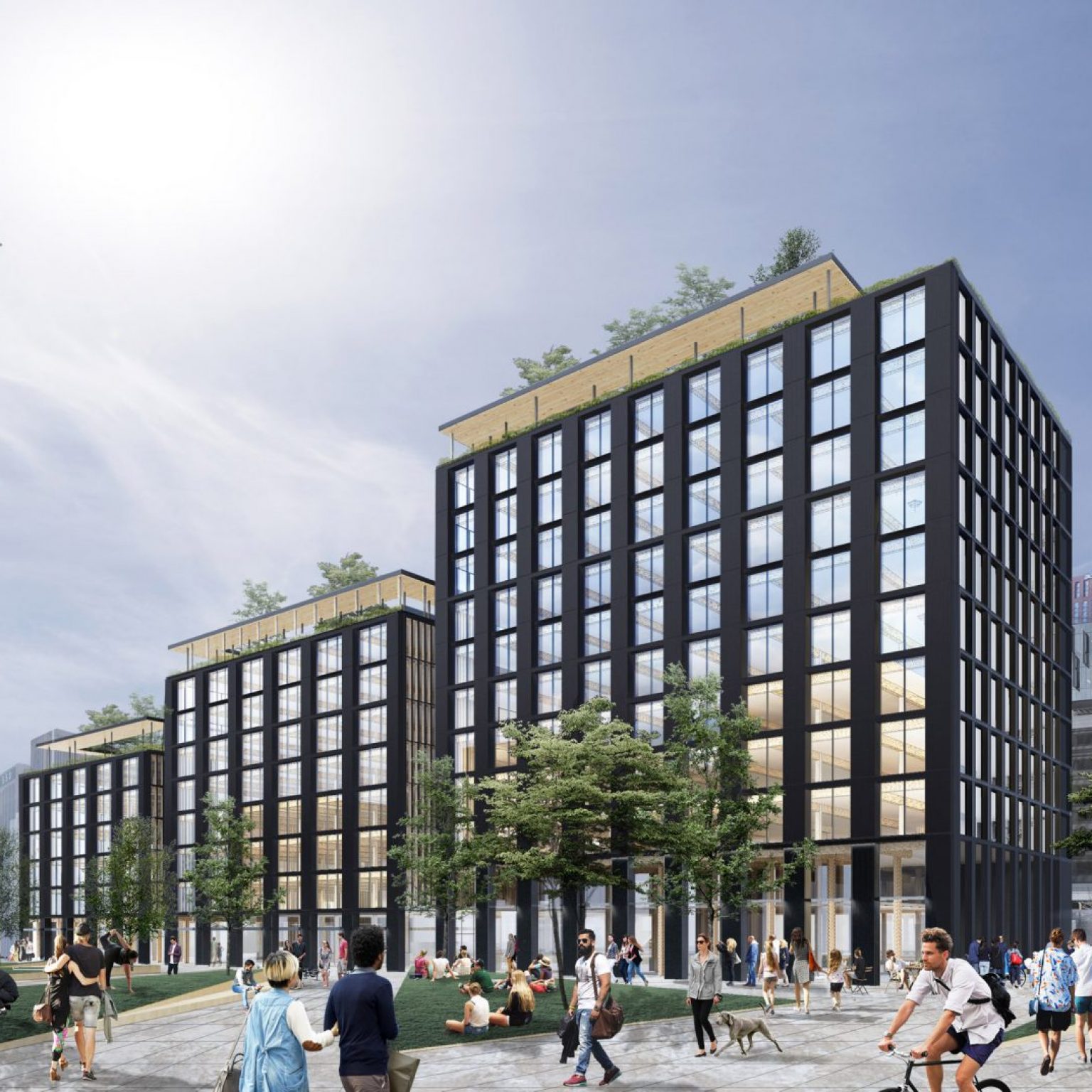 The Largest Timber Office Building in The United States Unveiled ...