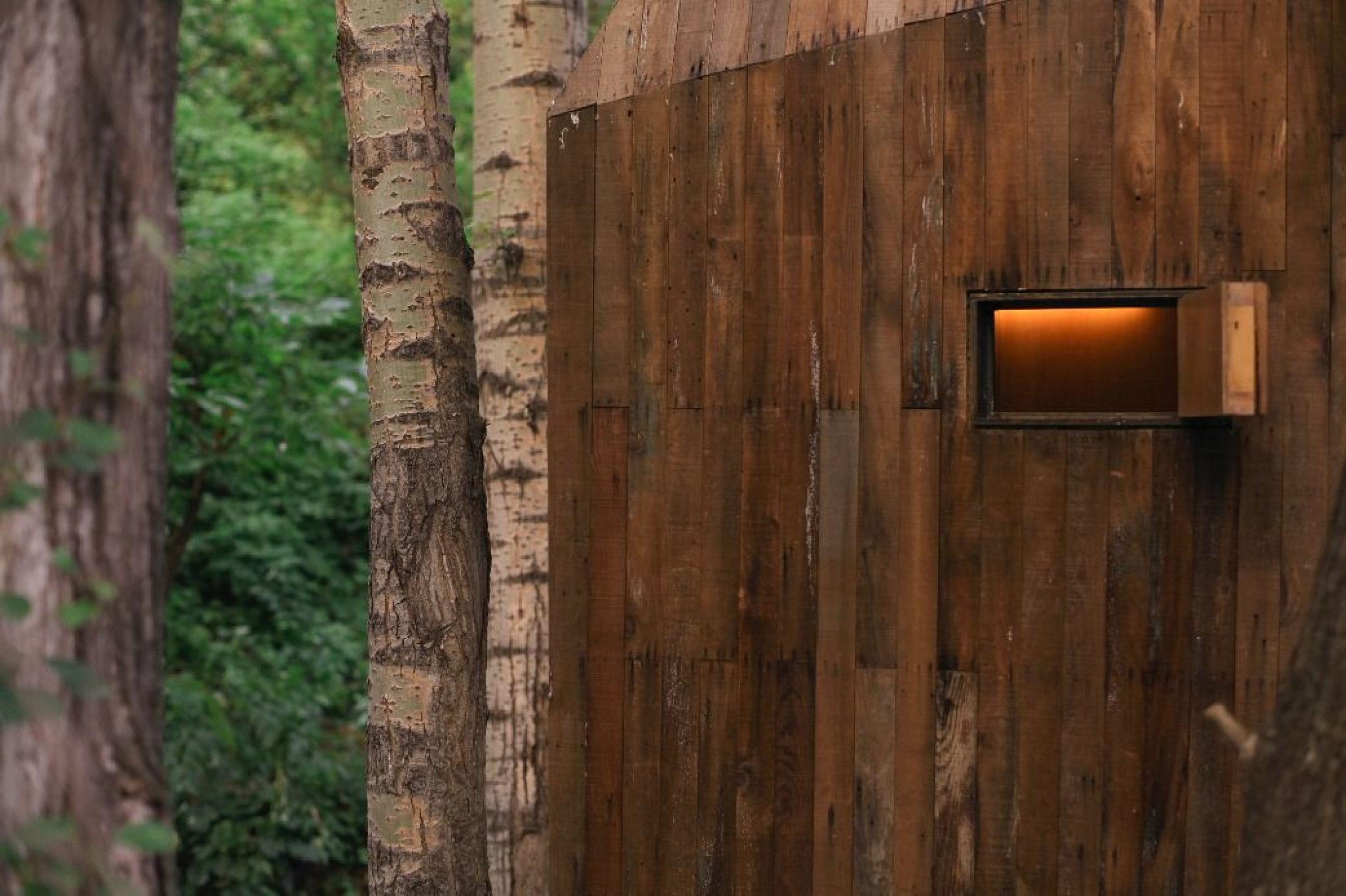 The Treehouse | Wee Studio - Arch2O.com