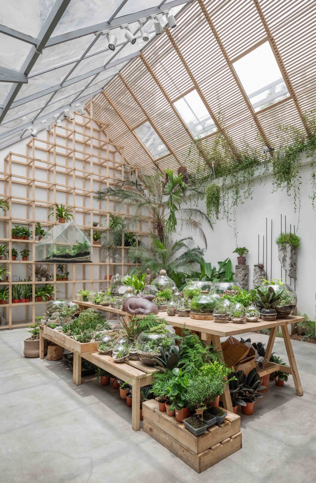 Tropical Forest | Tayone Design Studio - Arch2O.com