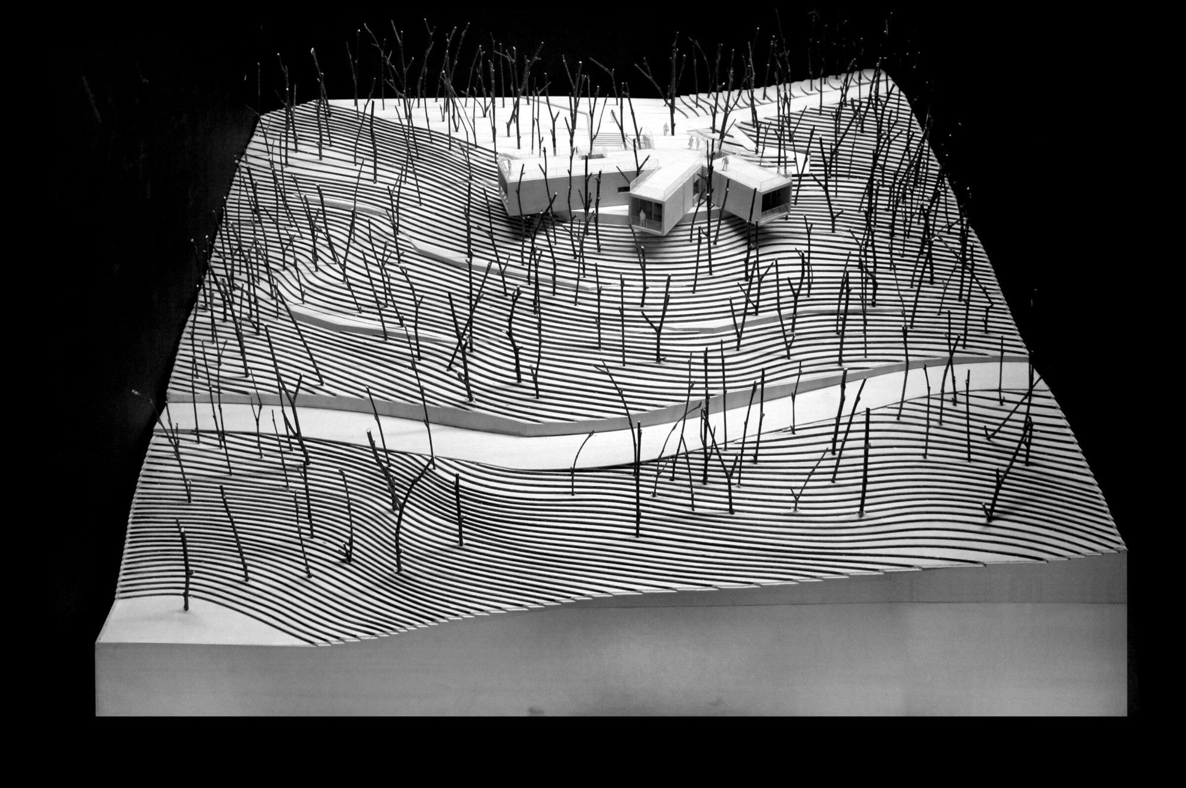 Viewing Pavilion on Hill | TAO - Trace Architecture Office - Arch2O.com