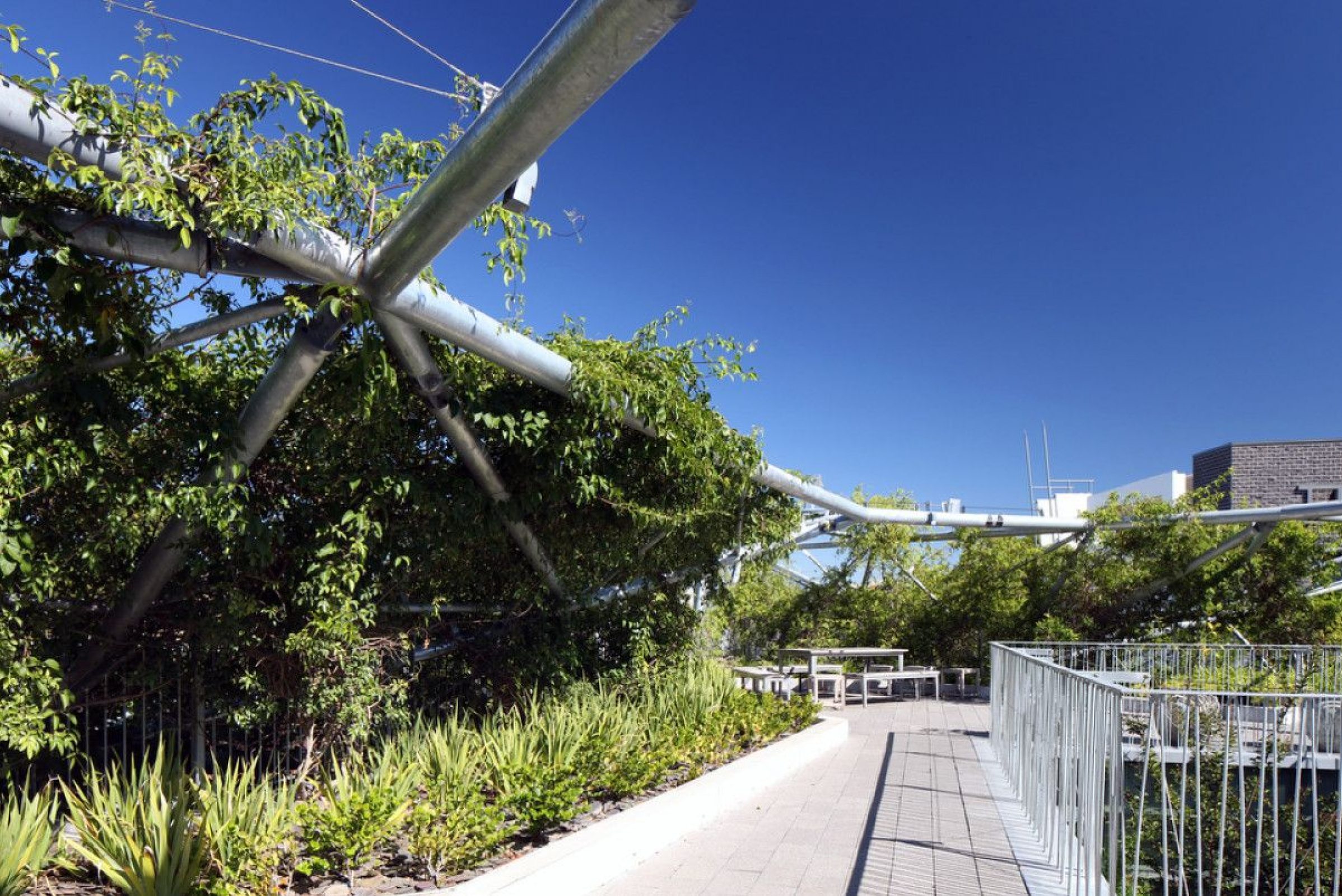 Waterloo Youth Center | Collins and Turner - Arch2O.com