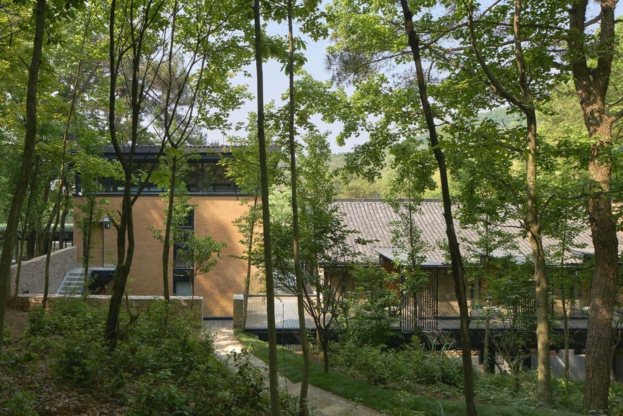 Pines House | The Design Institute of Landscape and Architecture China ...