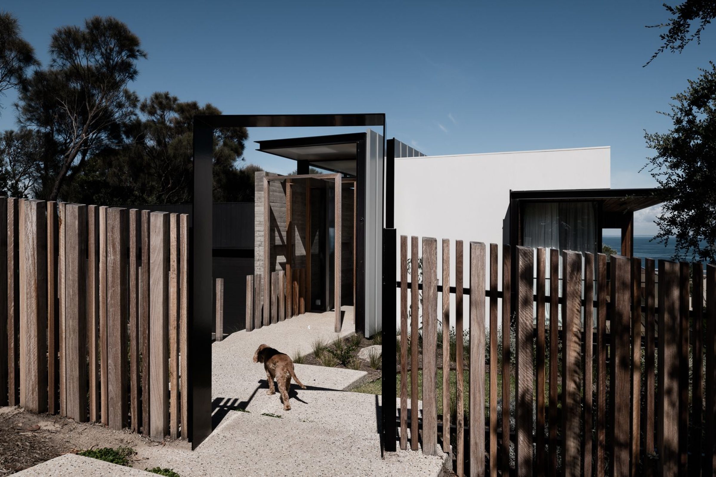 Two Angle House | Megowan Architectural - Arch2O.com