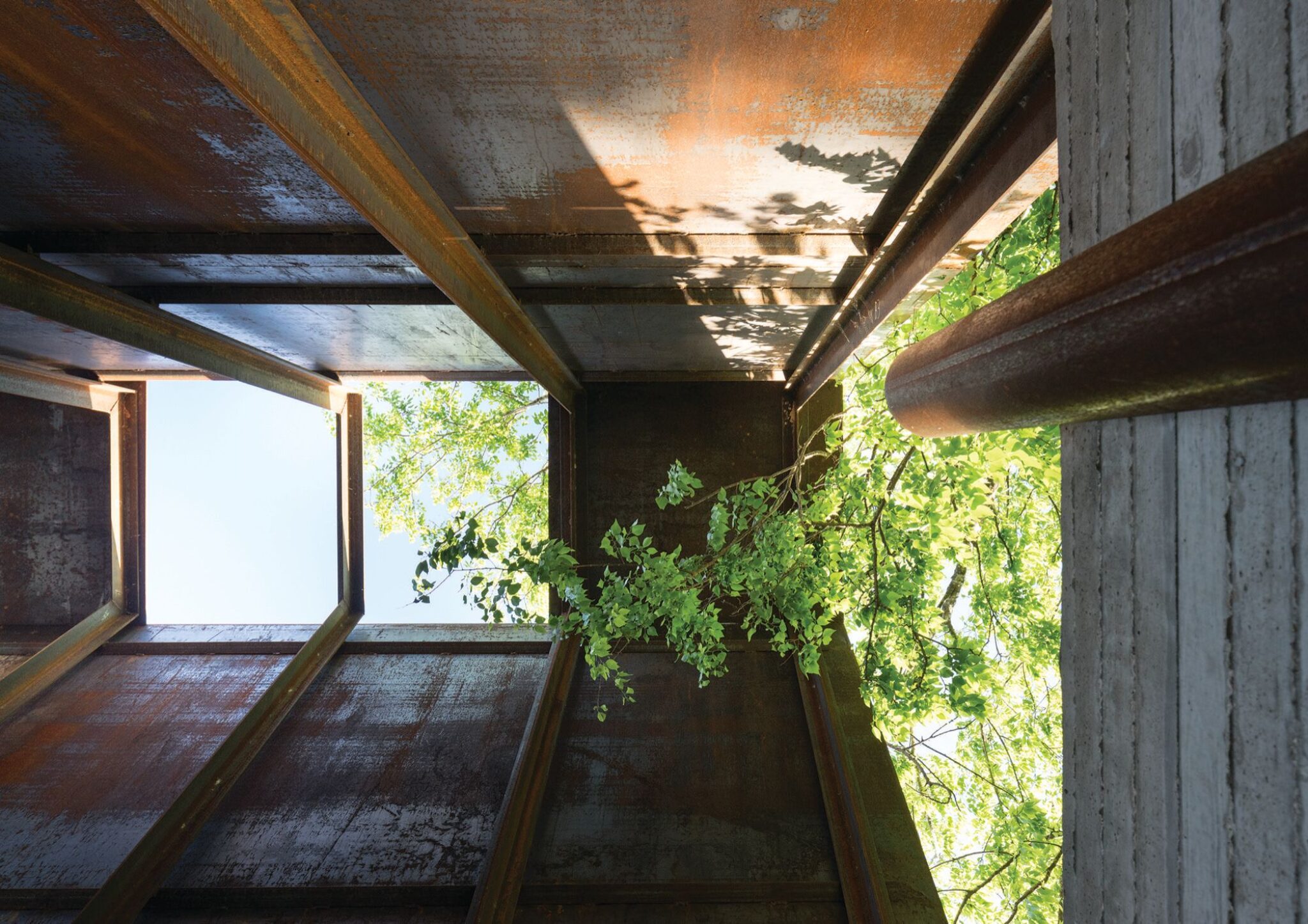 Lady Bird Loo | Mell Lawrence Architects - Arch2O.com