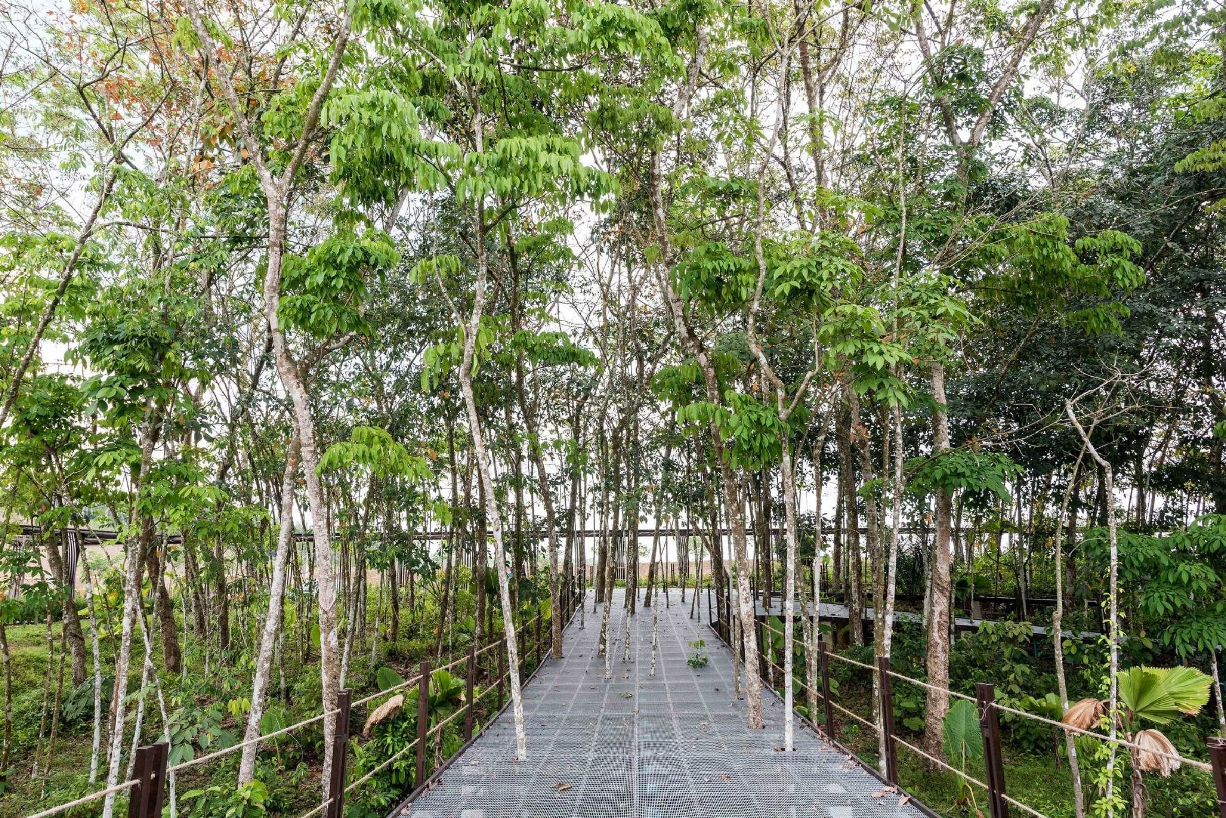 Red Hill Gallery | MOA Architects + Formzero - Arch2O.com