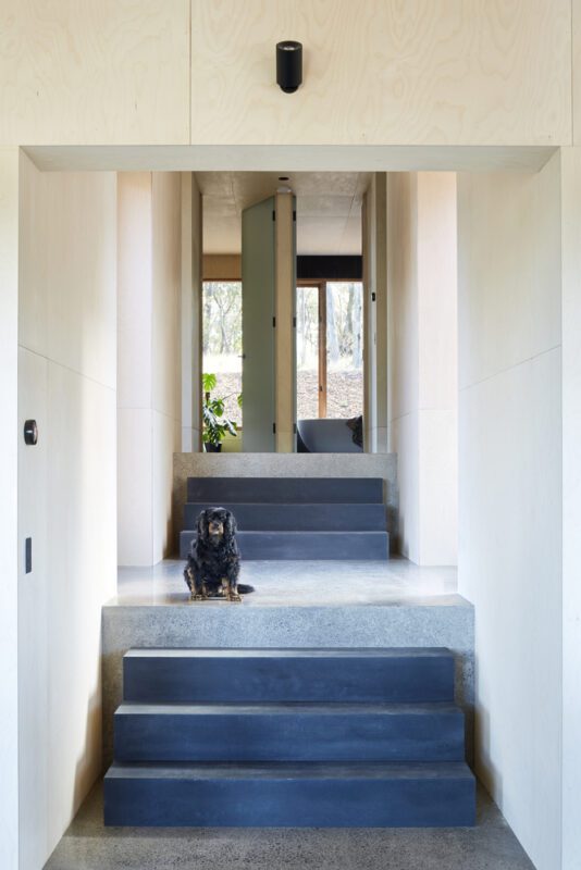 Two Halves House | Moloney Architects - Arch2O.com