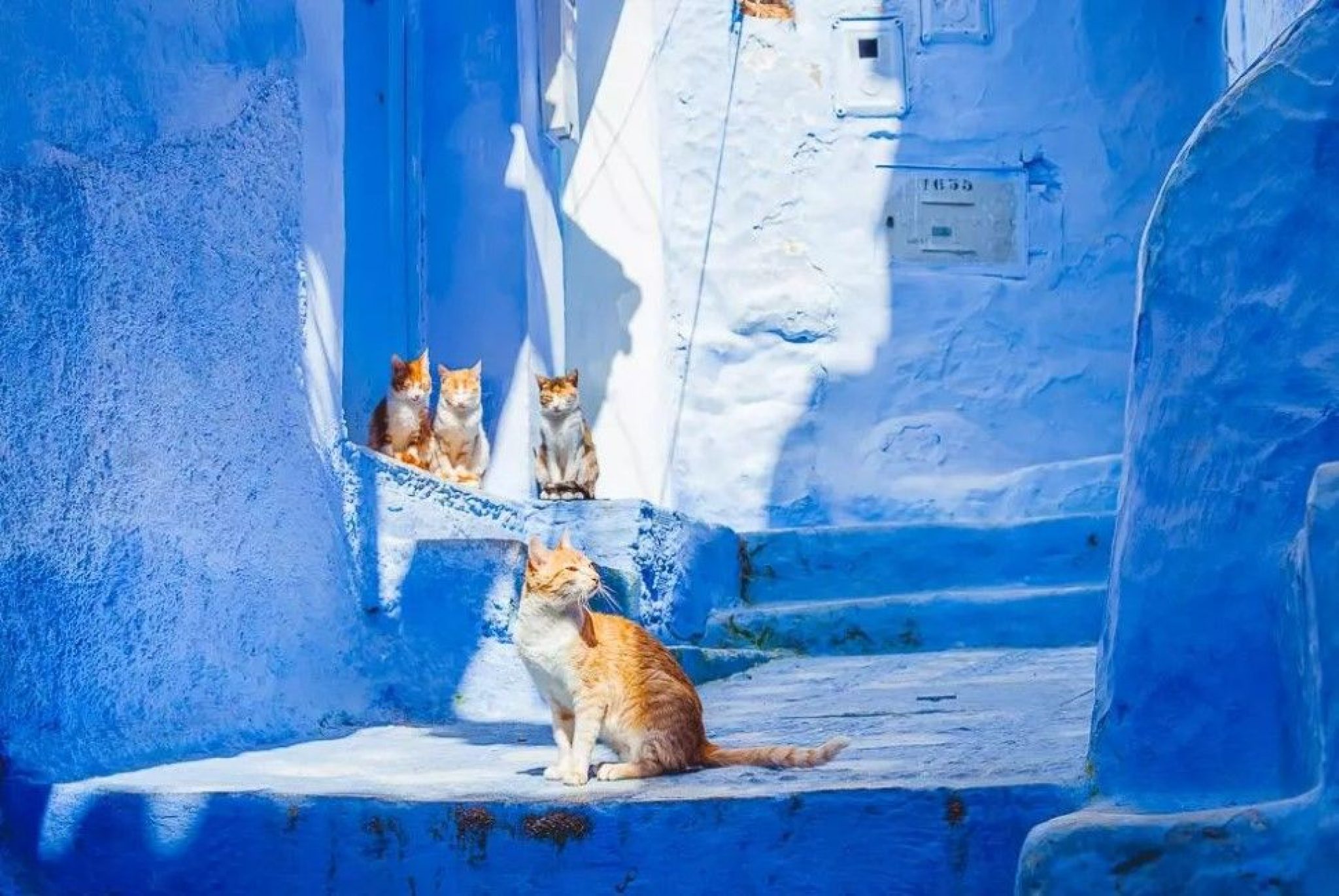 Why The City of Chefchaouen in Morocco is Entirely Blue? - Arch2O.com