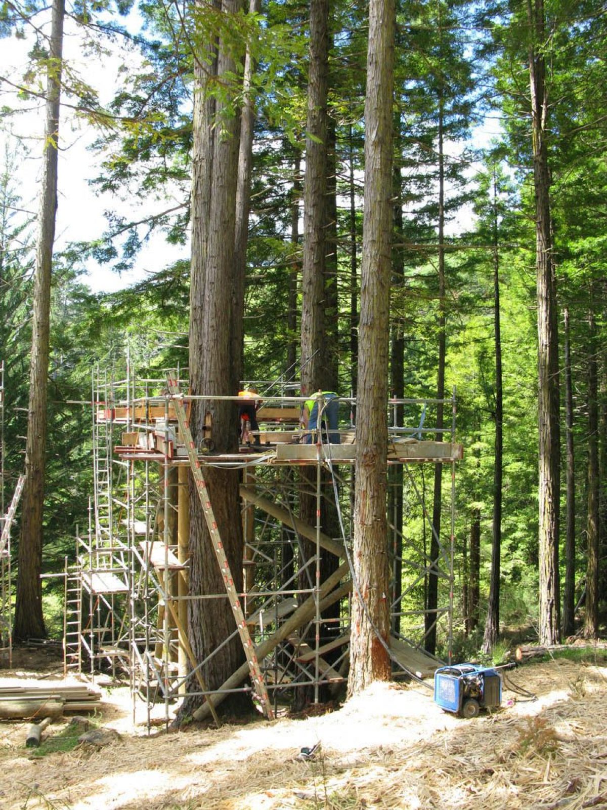 Yellow Treehouse Restaurant | Pacific Environments - Arch2O.com