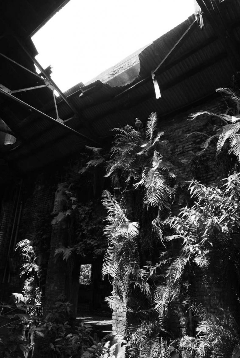 The Paradise Lost in Time | Interbreeding Field - Arch2O.com