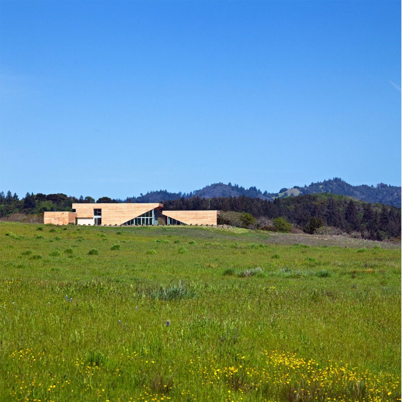 Summerhill Residence | Edmonds + Lee Architects - Arch2O.com