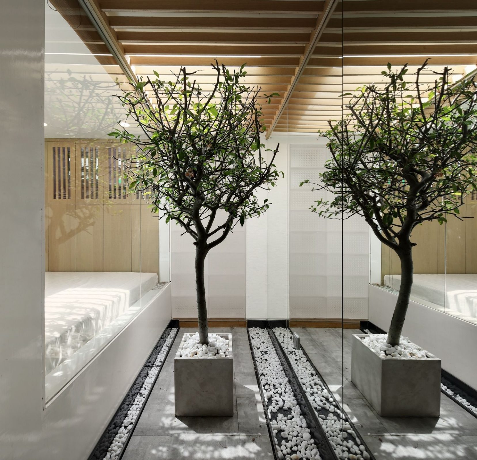 Cat House | FANAF - Arch2O.com