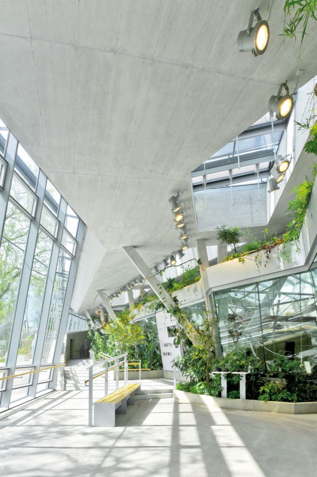 Great Ape House | Hascher Jehle Architektur - Arch2O.com