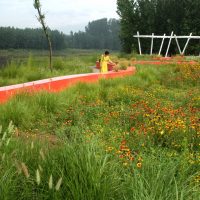 Red Ribbon Park | Turenscape - Arch2O.com