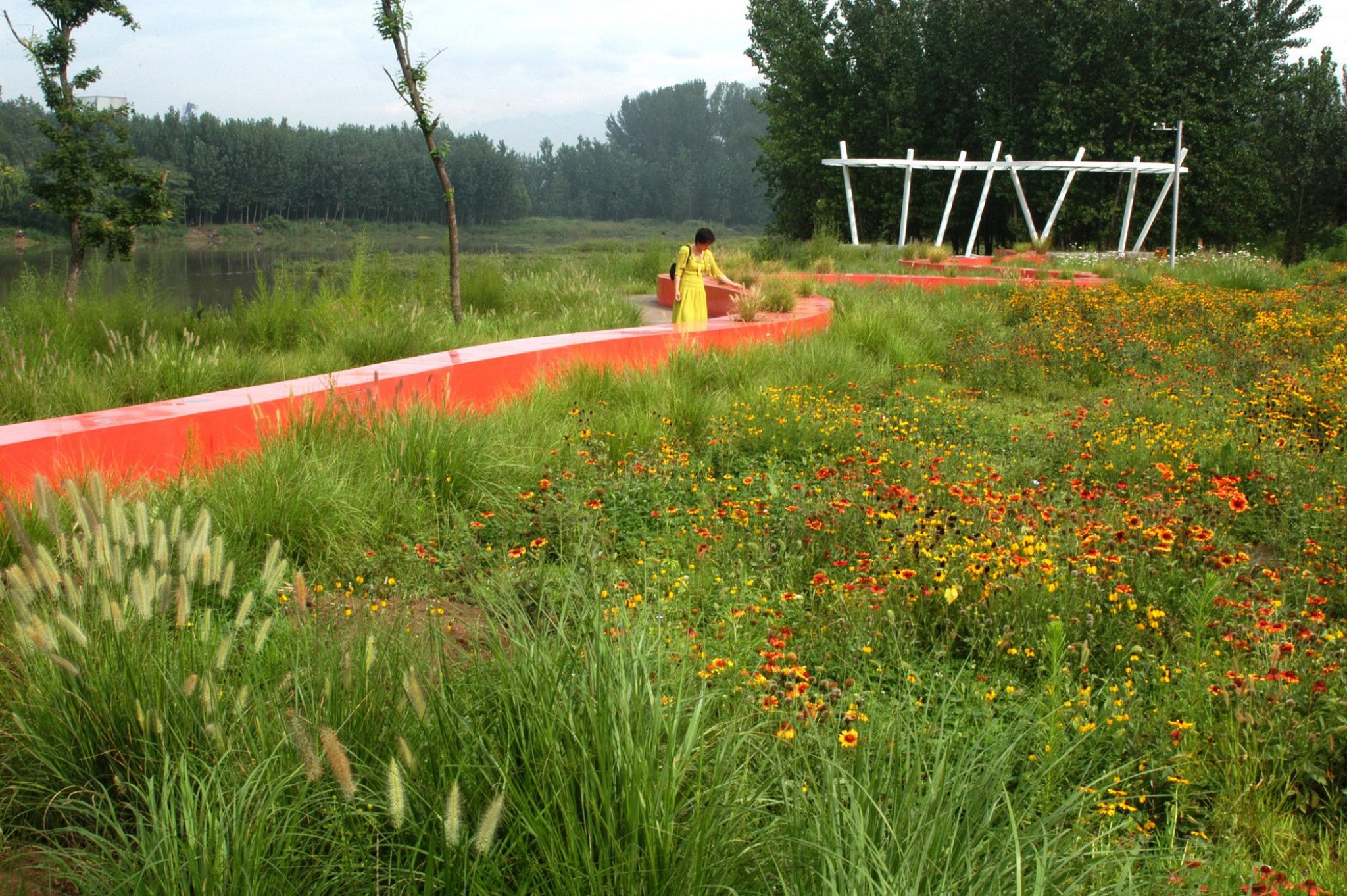 Red Ribbon Park | Turenscape – Arch2O.com