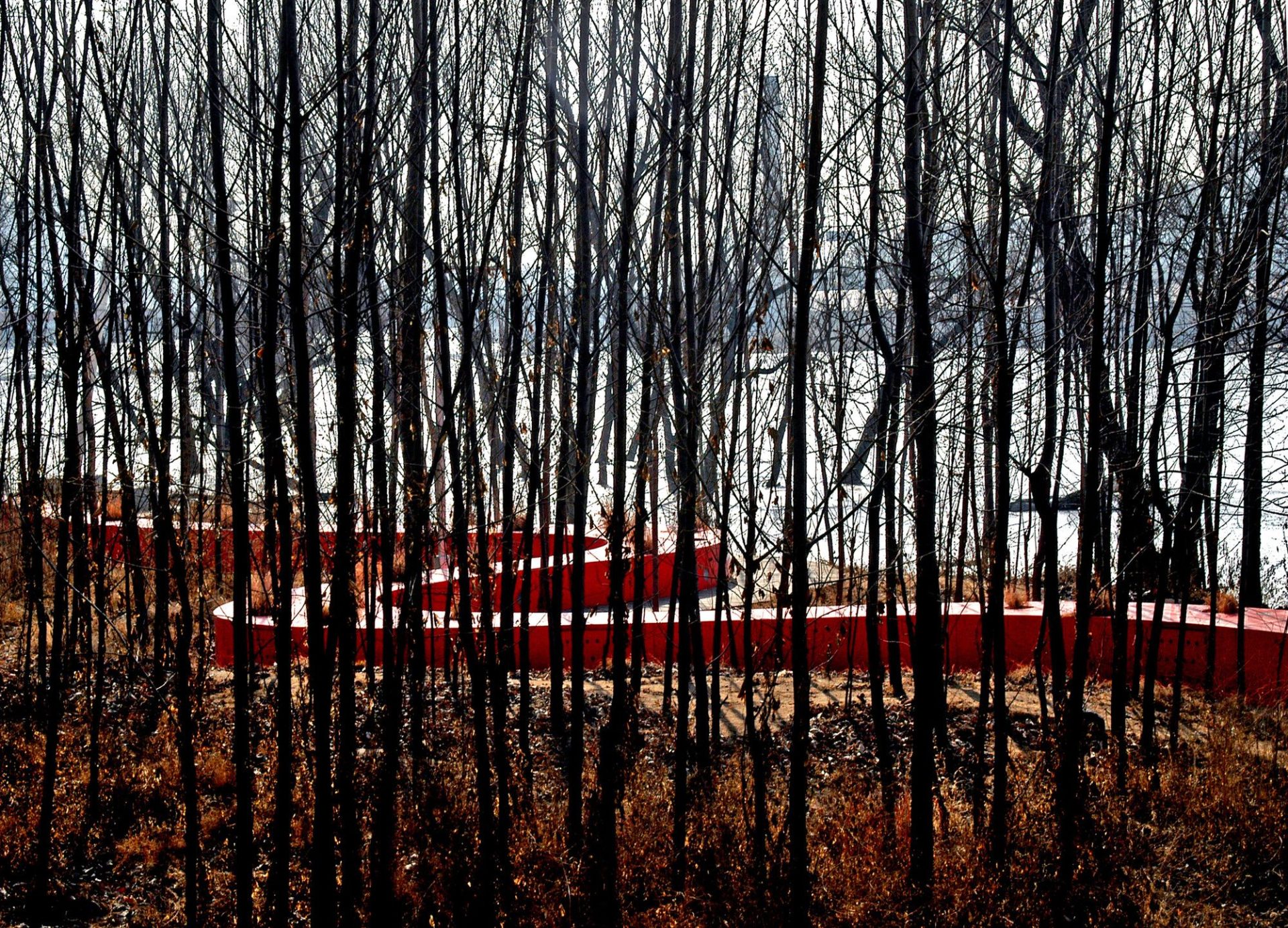 Park Projects | - Arch2O.com