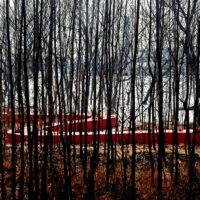 Red Ribbon Park | Turenscape - Arch2O.com