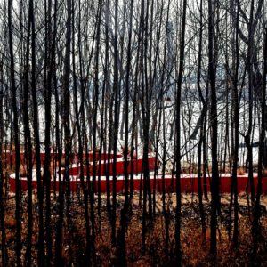 Red Ribbon Park | Turenscape - Arch2O.com