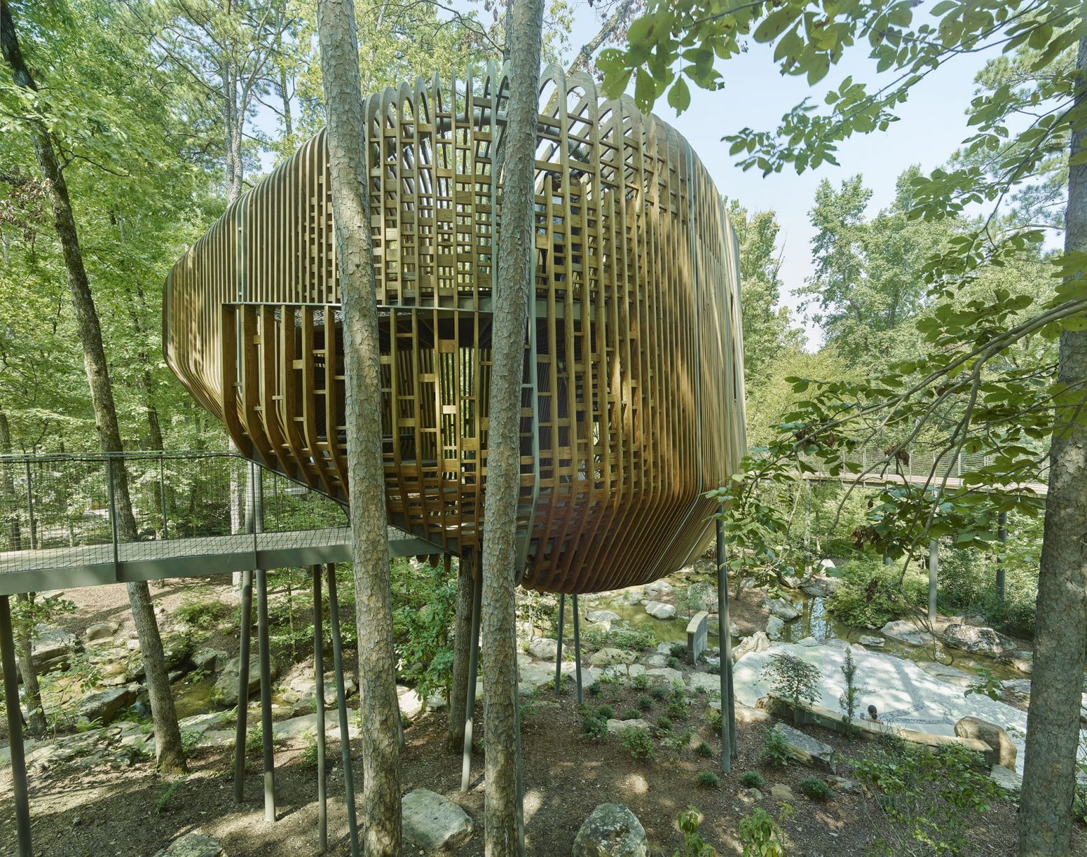 The Evans Tree House at Garvan Woodland Gardens | modus studio – Arch2O.com