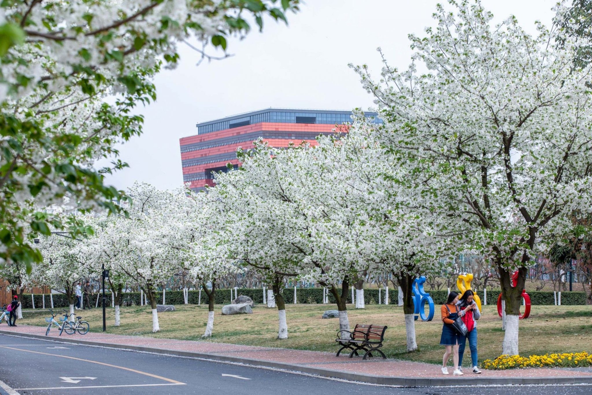 Chengdu University Library | China Southwest Architectural Design and ...