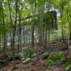 Thorncrown Chapel | E. Fay Jones - Arch2O.com