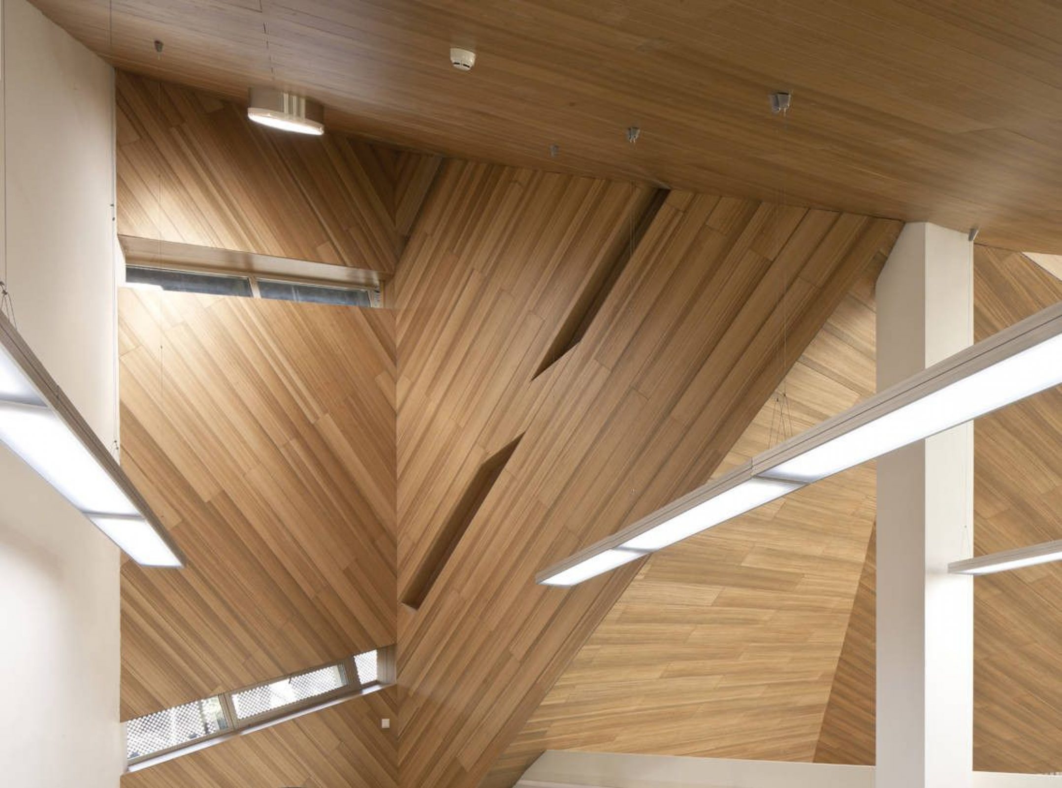 Cocoon | Mochen Architects & Engineers - Arch2O.com