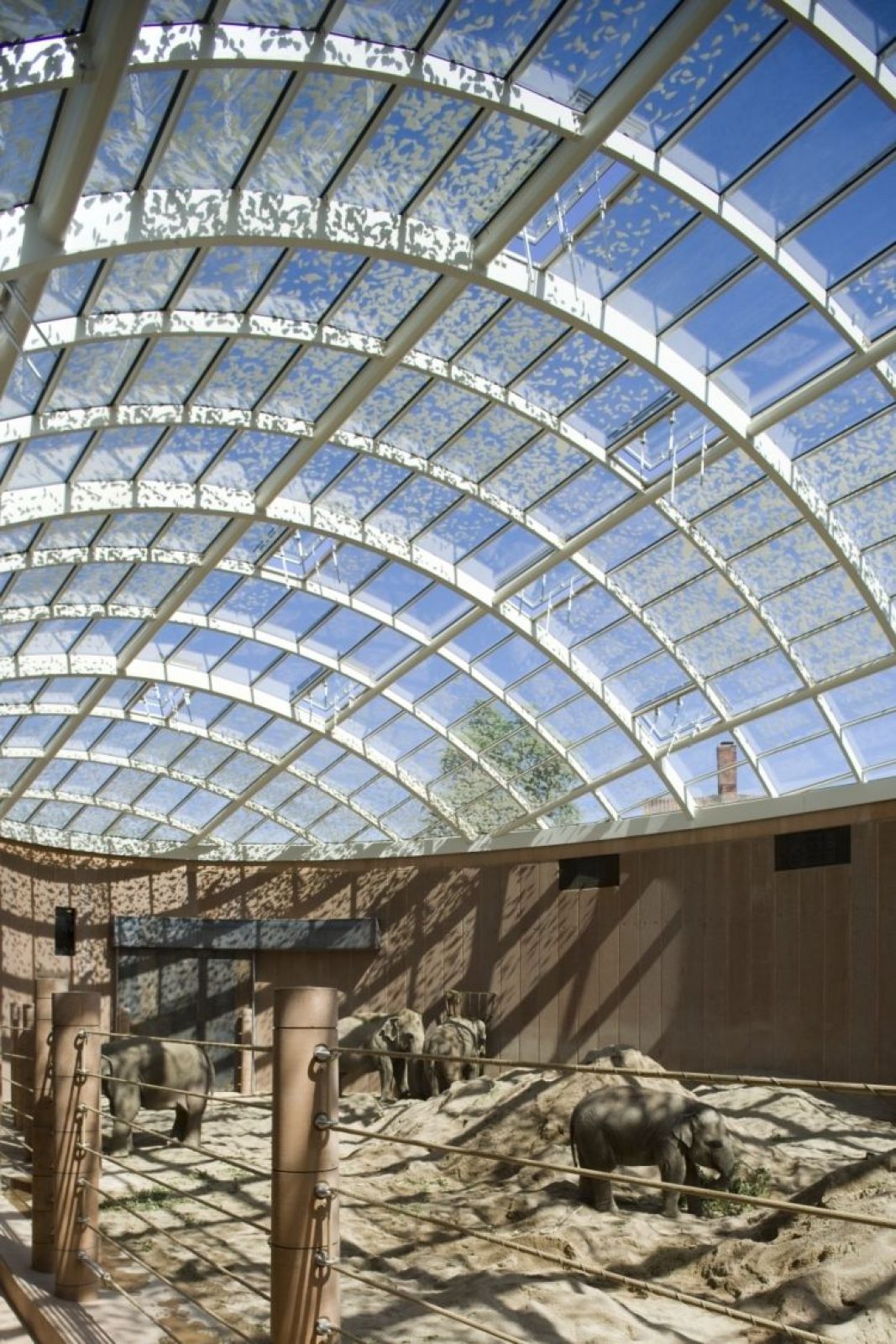 Elephant House, Copenhagen Zoo | Foster and Partners - Arch2O.com