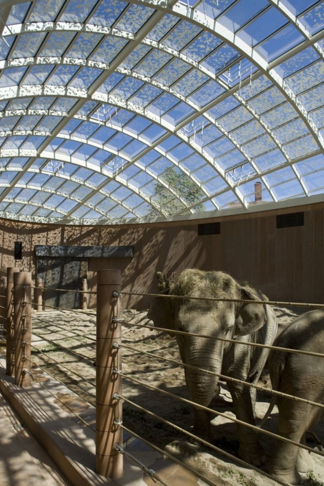 Elephant House, Copenhagen Zoo | Foster and Partners - Arch2O.com