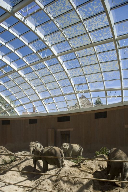 Elephant House, Copenhagen Zoo | Foster and Partners - Arch2O.com