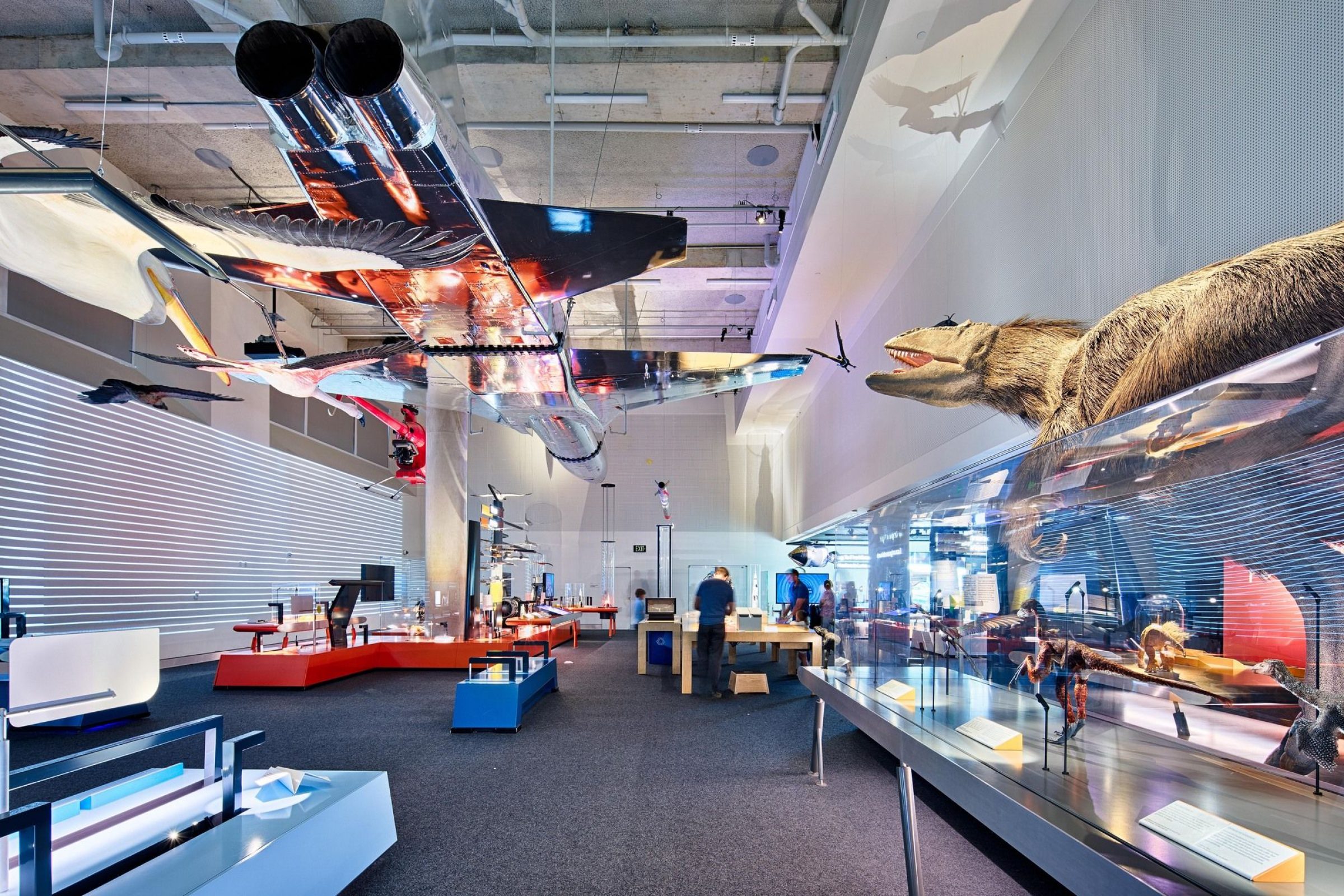 Phillip and Patricia Frost Museum of Science | Grimshaw Architects ...