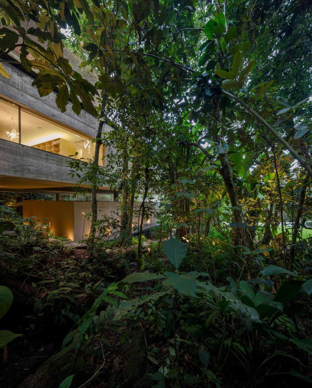 Jungle House | Studio MK27 - Arch2O.com