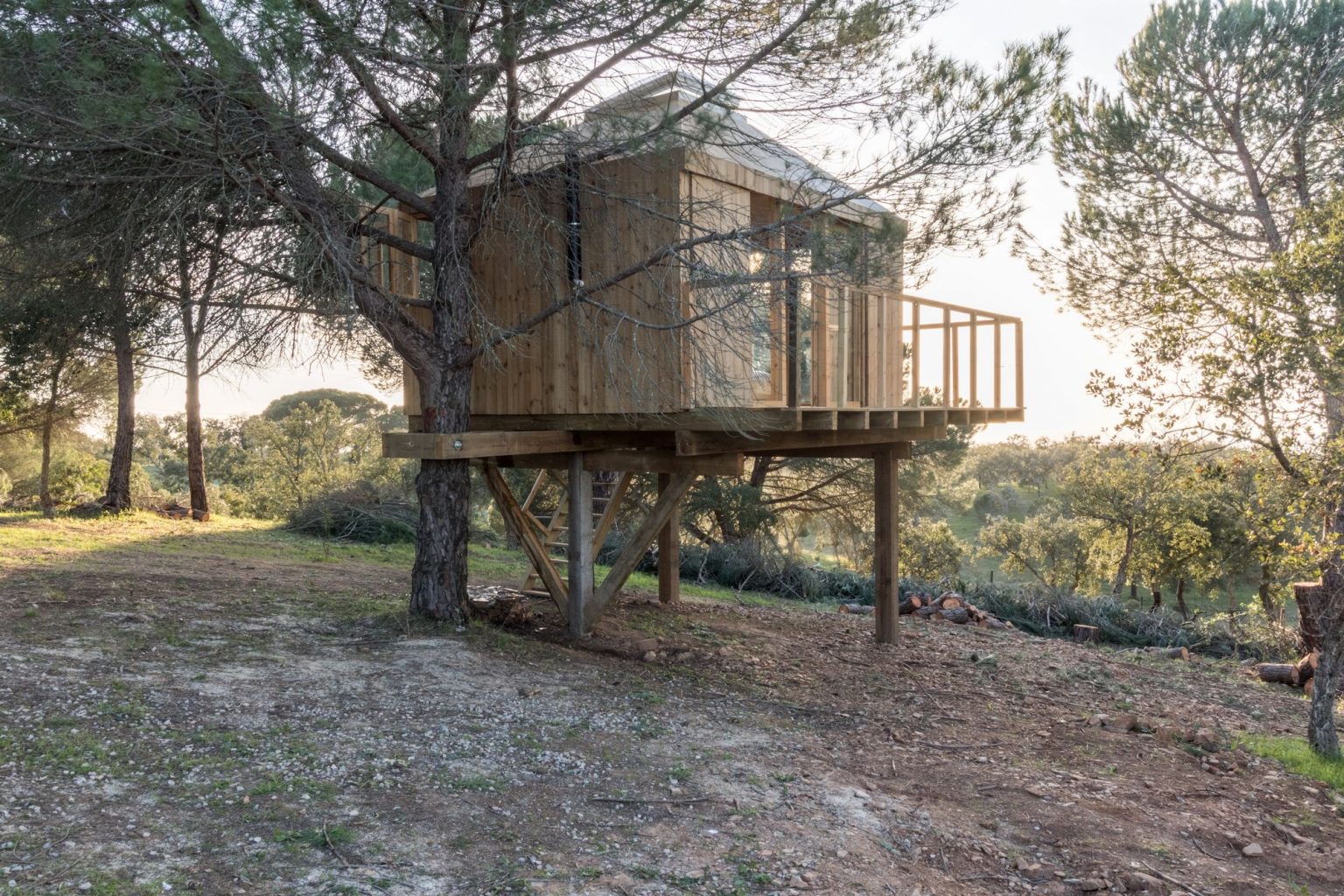 Tree House | Madeiguincho - Arch2O.com