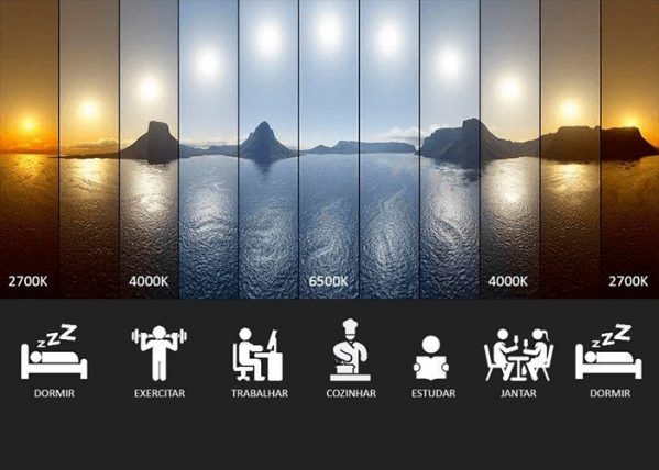 All You Need to Know About Skylights - Arch2O.com