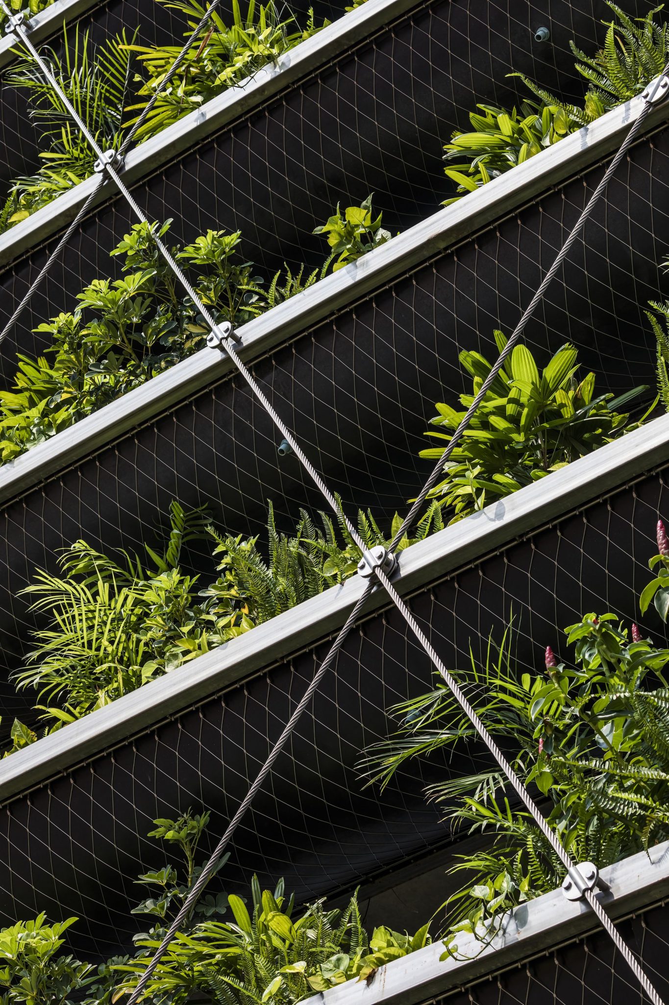 Jakob Factory | G8A Architecture & Urban Planning + rollimarchini ...