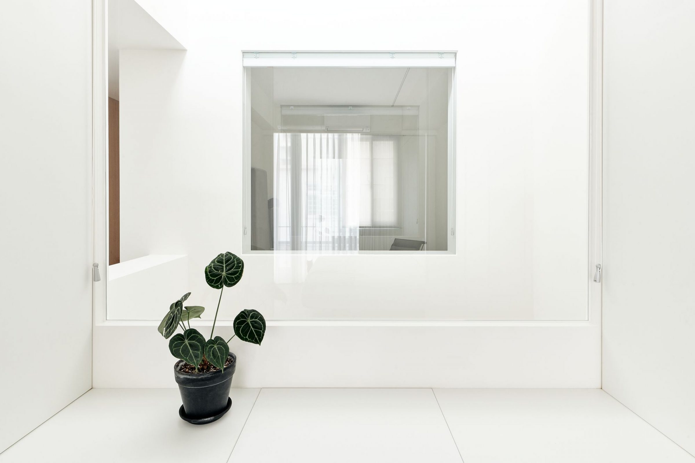 Pan House | 2BOOKS design - Arch2O.com