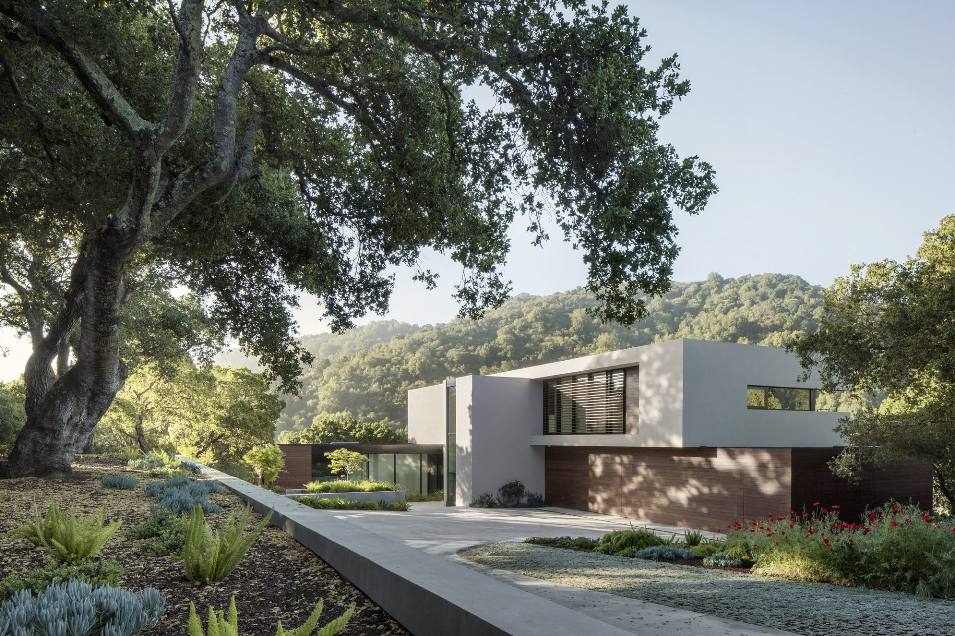 Slot House | Feldman Architecture - Arch2O.com