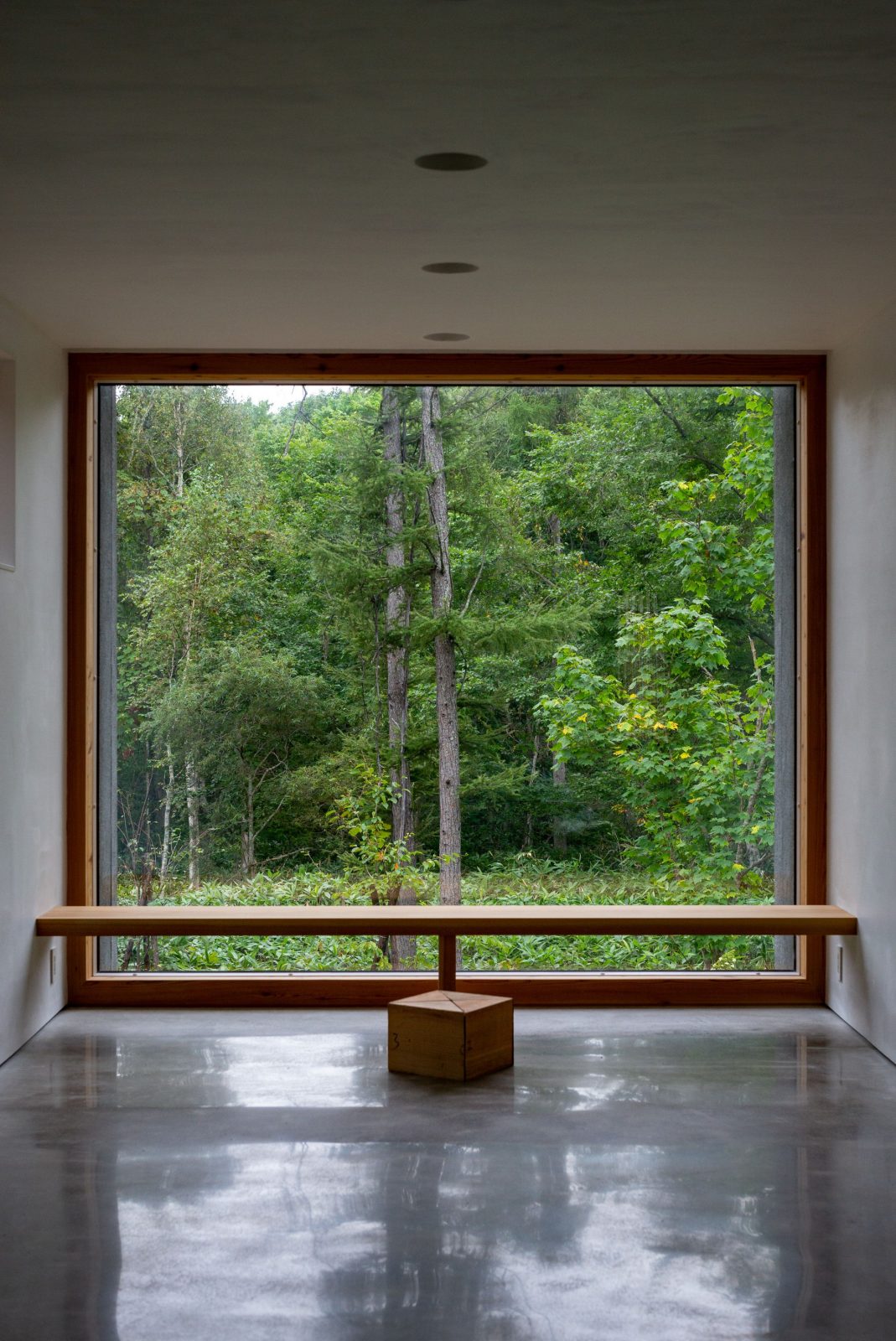 House in the Forest | Florian Busch Architects - Arch2O.com