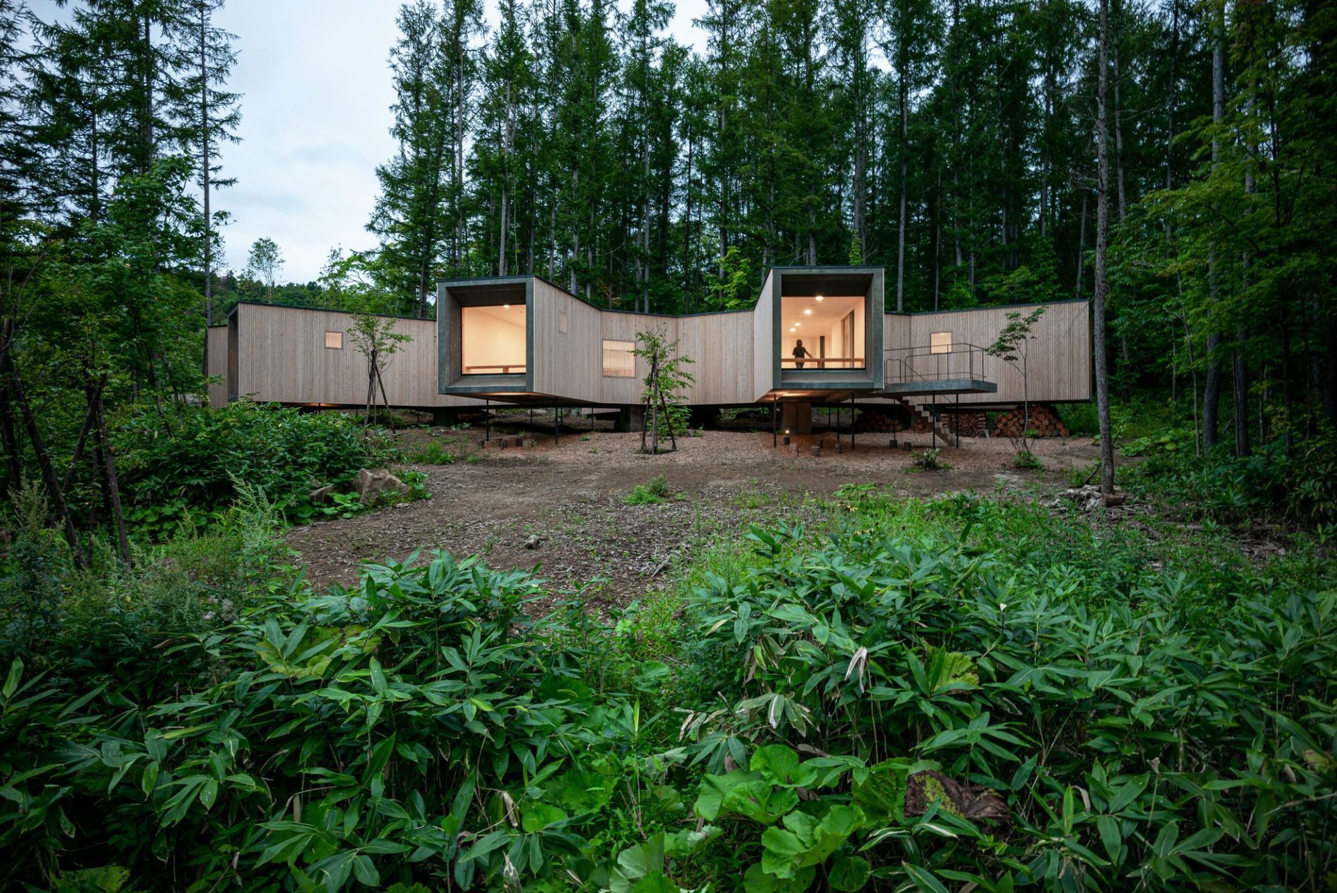 House in the Forest | Florian Busch Architects - Arch2O.com