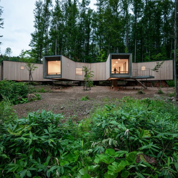 House in the Forest | Florian Busch Architects - Arch2O.com