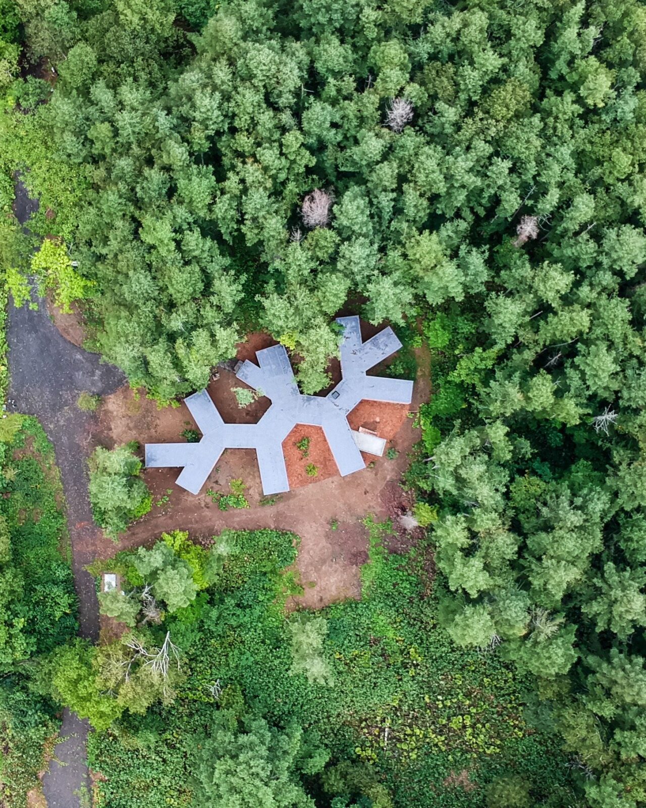 House in the Forest | Florian Busch Architects - Arch2O.com