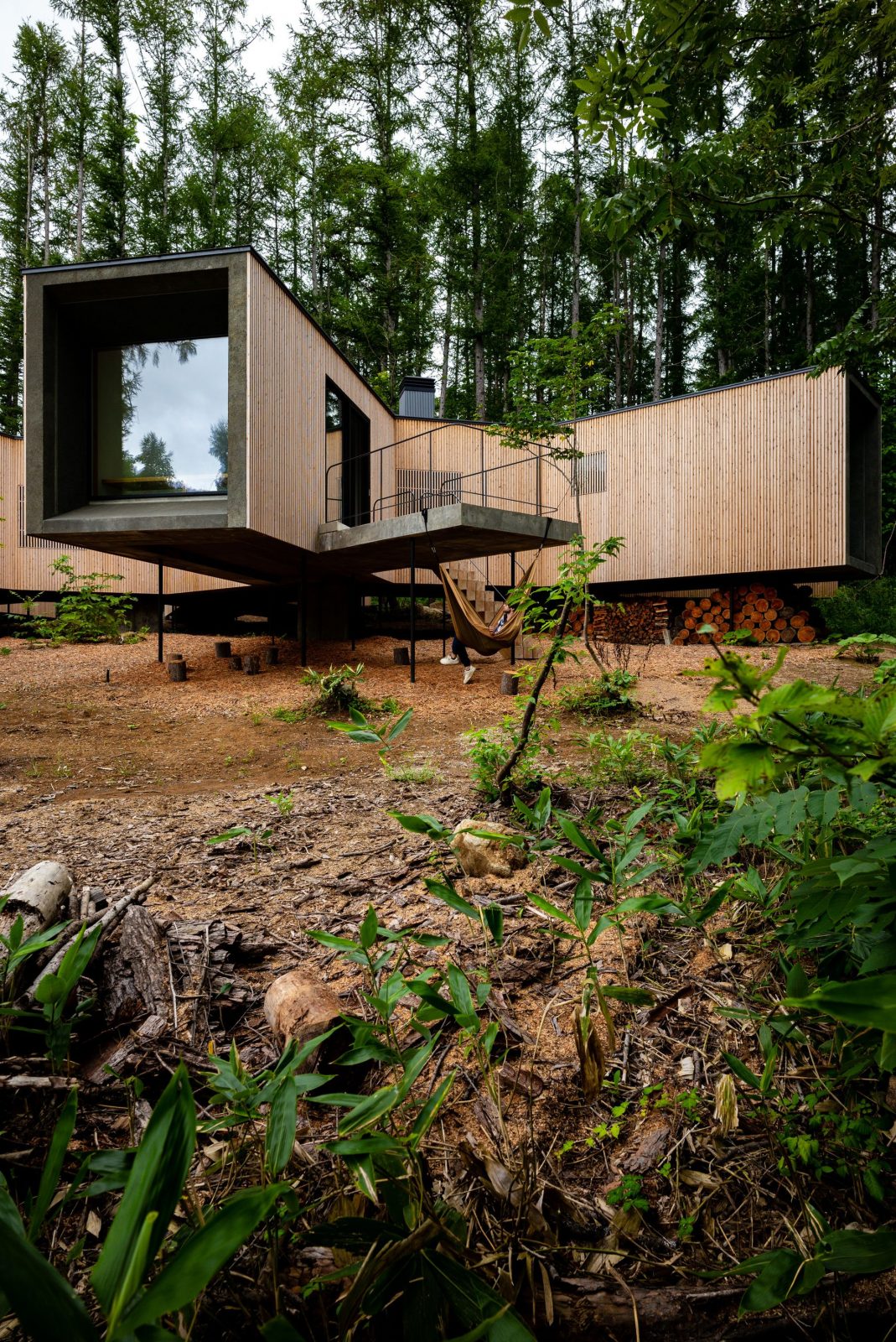 House in the Forest | Florian Busch Architects - Arch2O.com