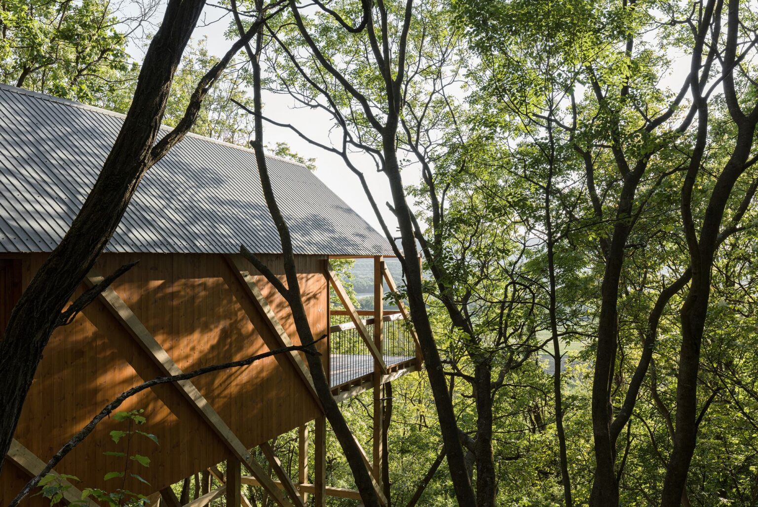 House on 12 Legs | RJZS Architects - Arch2O.com