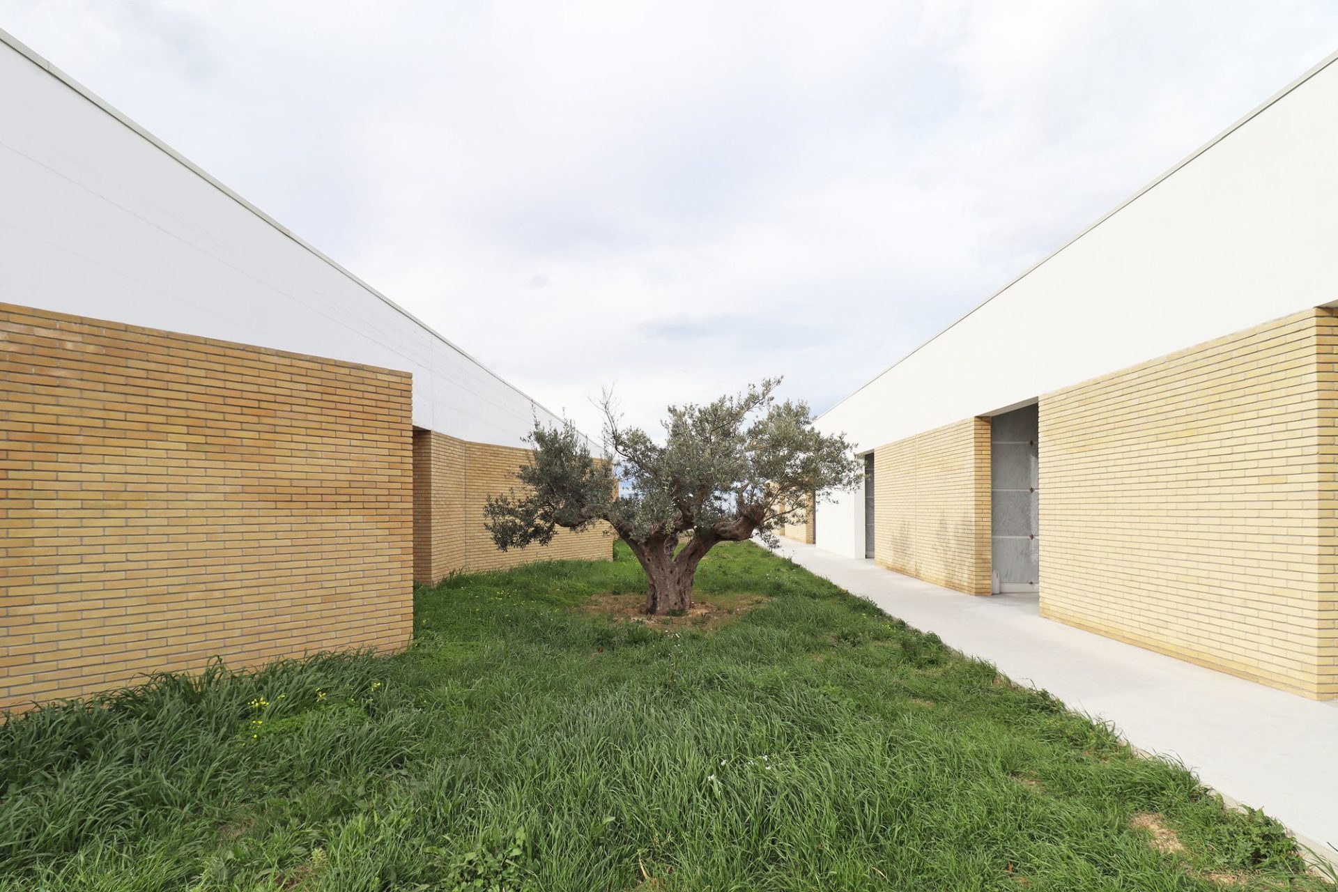 Landscape of Remembrance | arcari cimini architettura – Arch2O.com