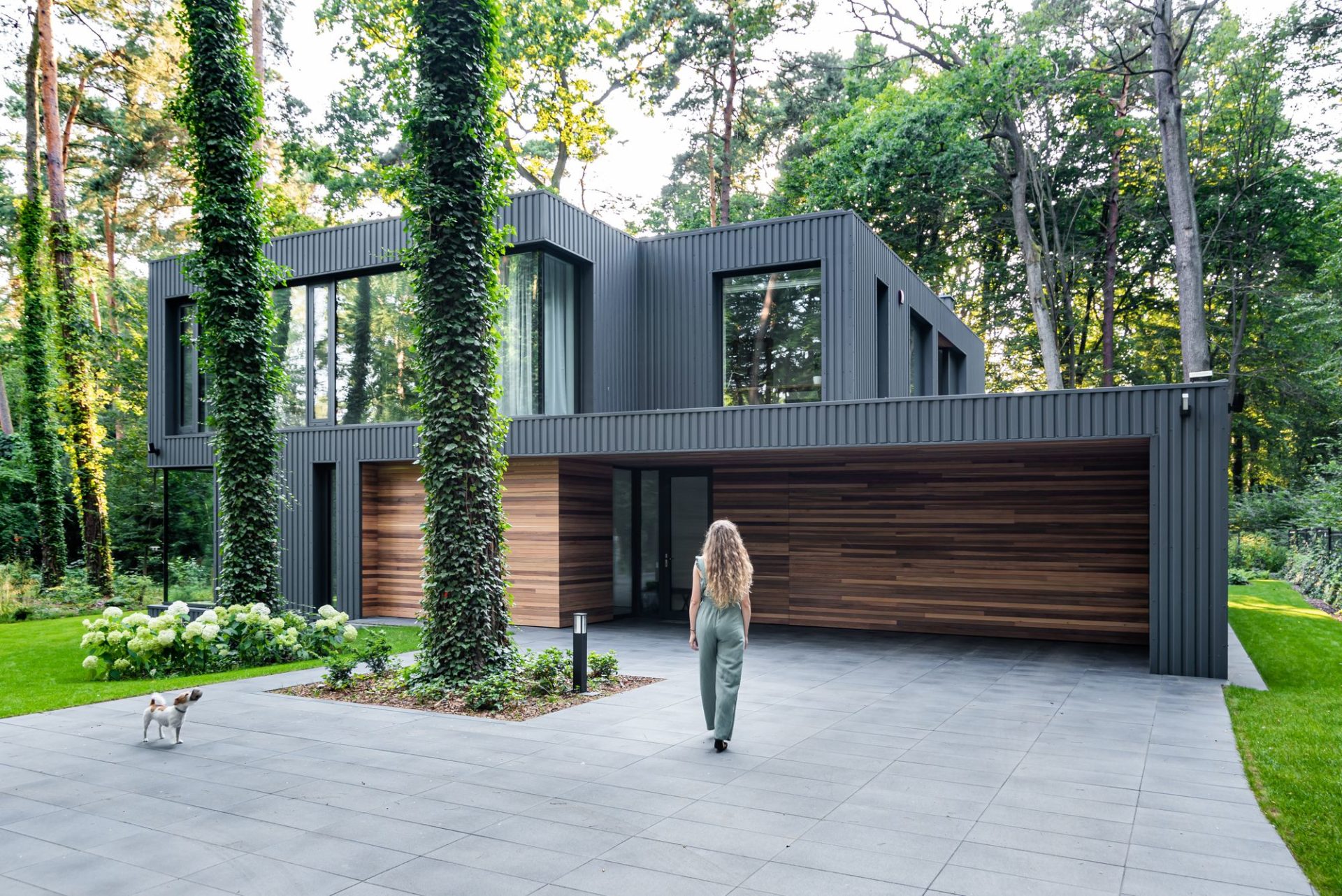 House Blended Into The Forest l Z3Z ARCHITEKCI
