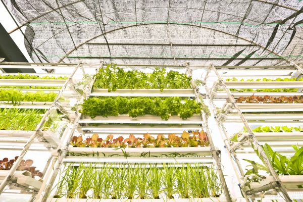 10 Most Inspiring Greenhouse Designs Around the World - Arch2O.com