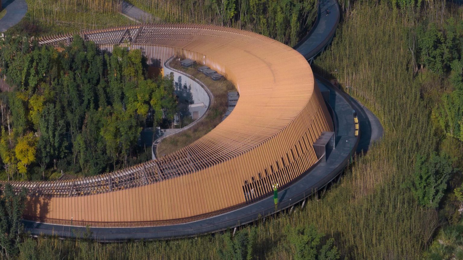 Why Bamboo Is a Lot More Versatile, and Durable Than You Ever Realized ...