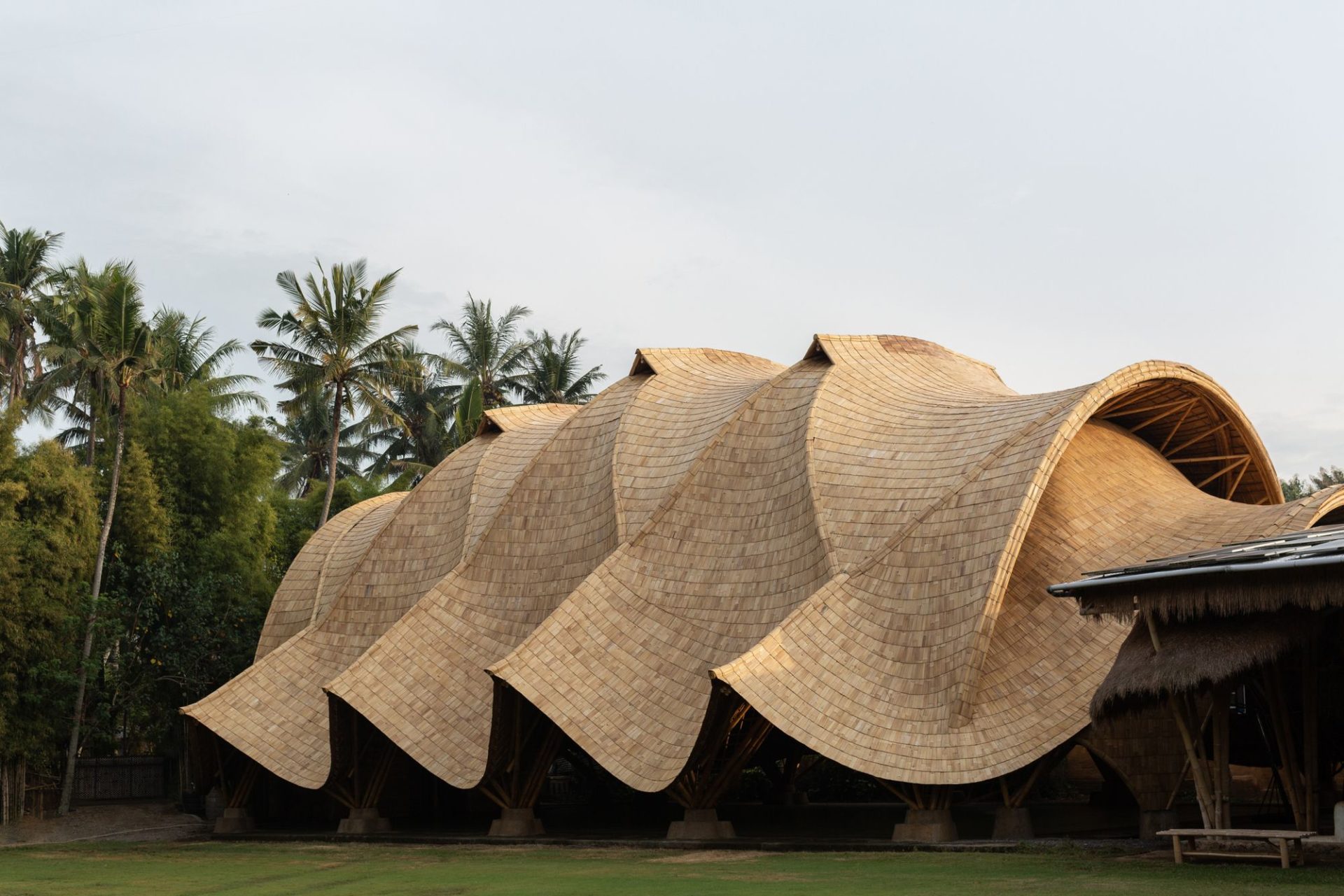 Why Bamboo Is a Lot More Versatile, and Durable Than You Ever Realized ...