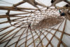 Why Bamboo Is a Lot More Versatile, and Durable Than You Ever Realized ...