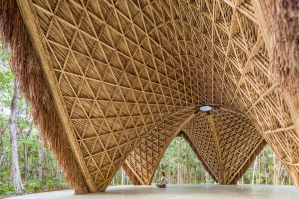 Why Bamboo Is a Lot More Versatile, and Durable Than You Ever Realized ...